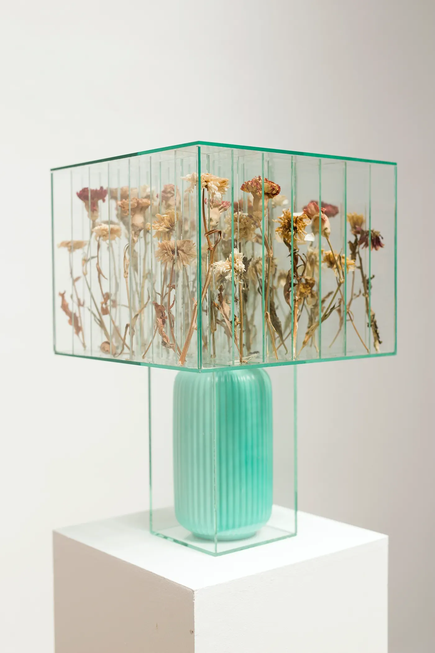 Sándor Körei: Mediated Nature as Sculptural Tension